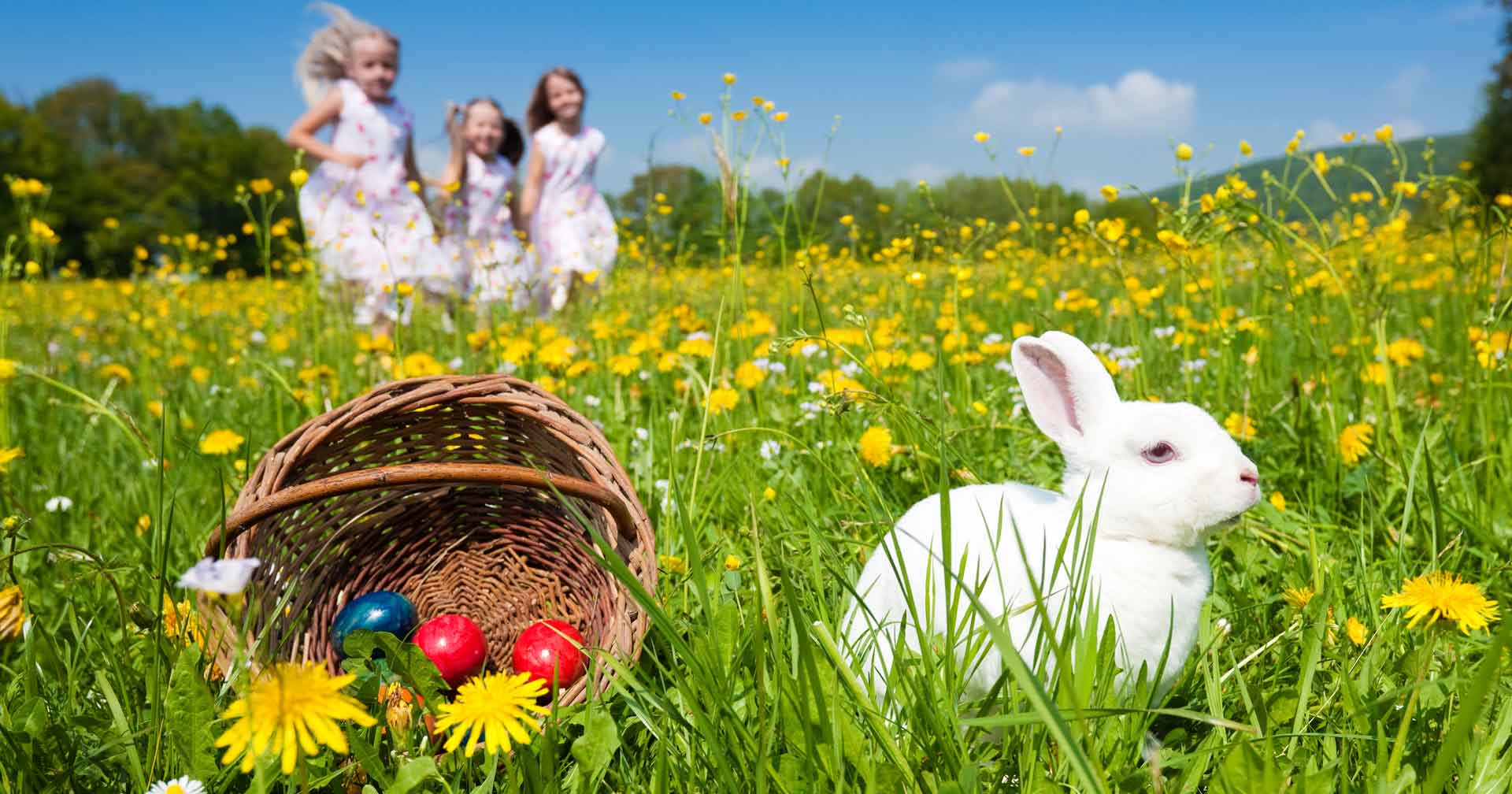 Easter - Mclaurin Farms